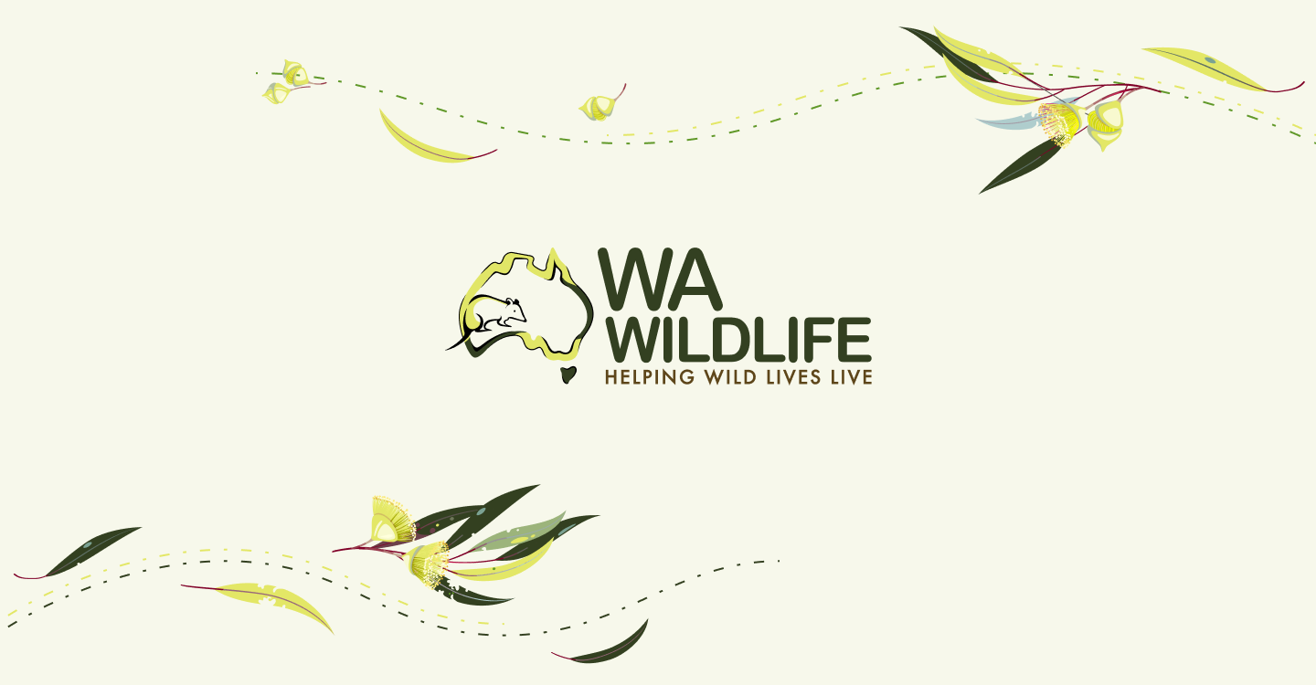 WA Wildlife - Dux Digital - Websites Perth